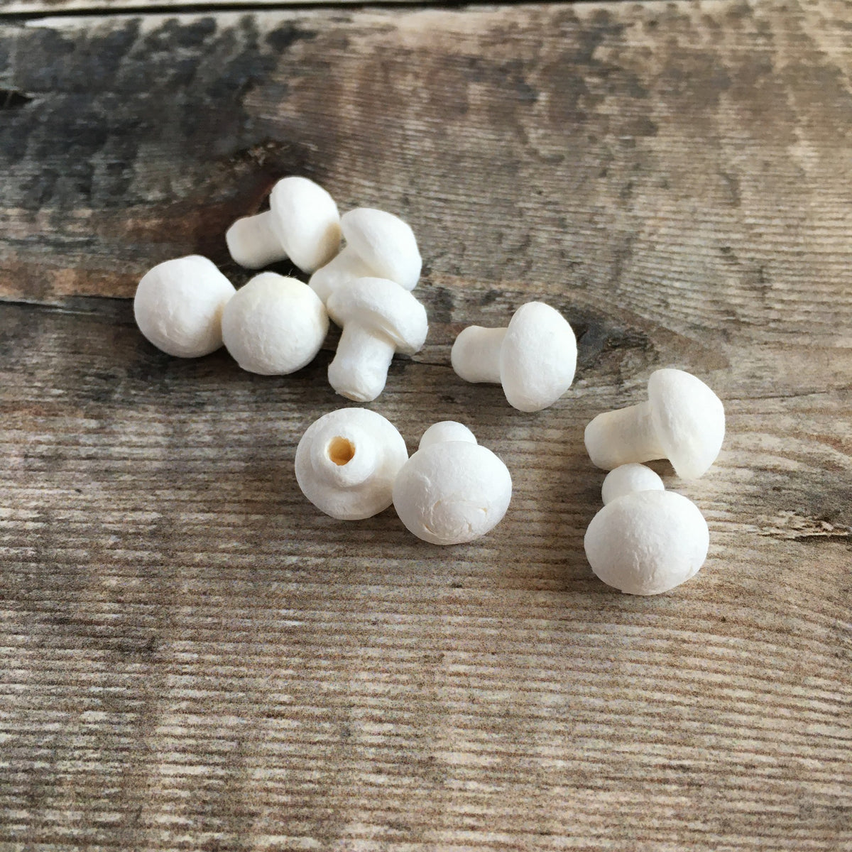 Compressed paper / spun cotton mushroom 12 mm across, 14 mm tall ...